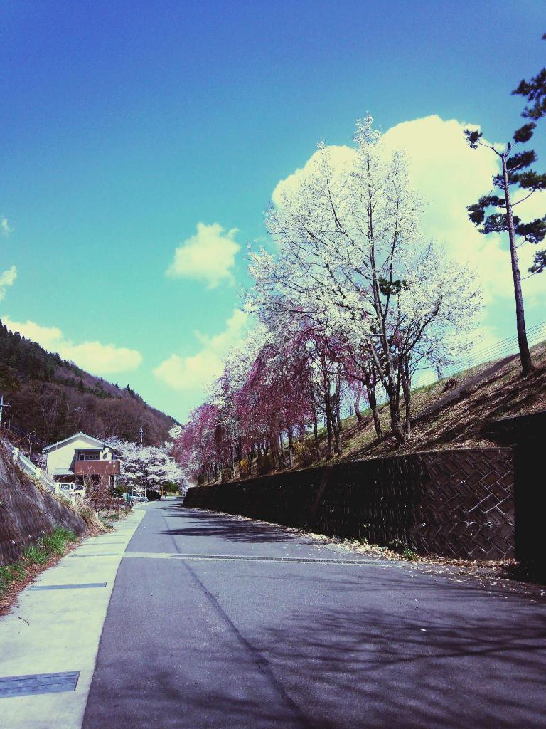 DSC_0439 | 【地域密着27年】長野県・山梨県のポスティングなら｜まかせてグループ